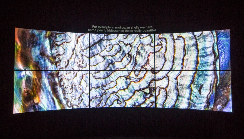 LG explores the science of vision with Natural History Museum ...